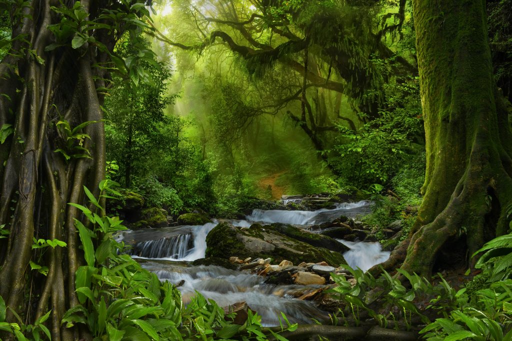 Energies of Nature and the Universe - Energy Arts