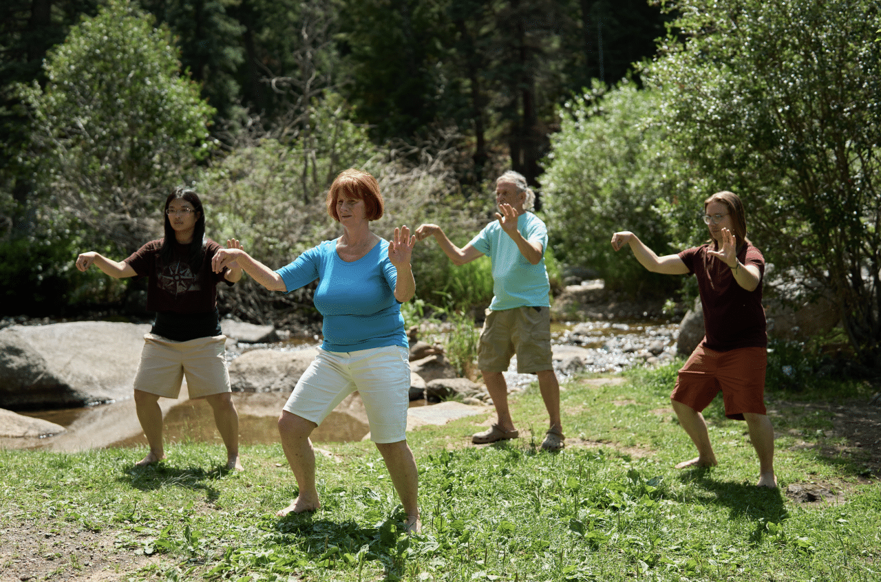 Seven Approaches to Tai Chi - Energy Arts